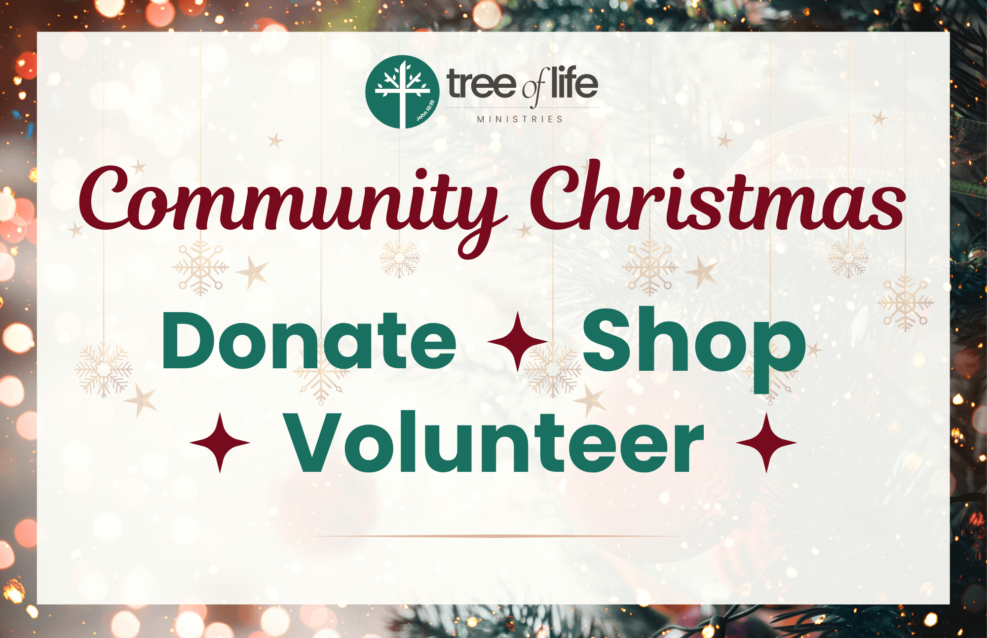 Ashburn Community Christmas (Hosted by Christian Fellowship Church ...
